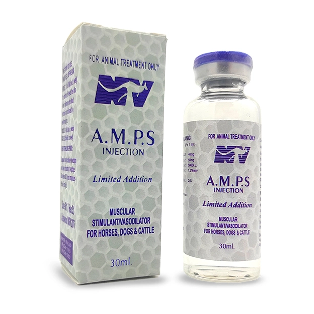 NV Amp-5 Injection 20ml